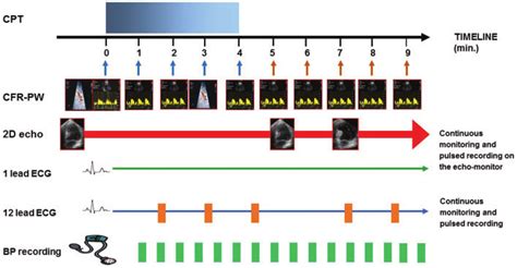 Cold Pressor Test Study Protocol Bp Blood Pressure Cfr Pw Power
