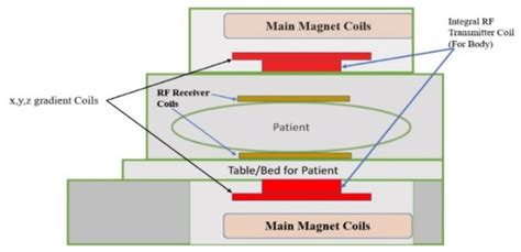 Diagram Representing The Relative Position Of Rf Receiver Coil Rf