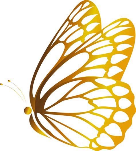 Colorful Butterfly Designs To Draw