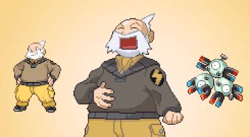 Best gym leader hoenn Pokémon Amino