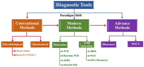 Fast Track Diagnostic Tools For Clinical Management Of Sepsis Paradigm Shift From Conventional