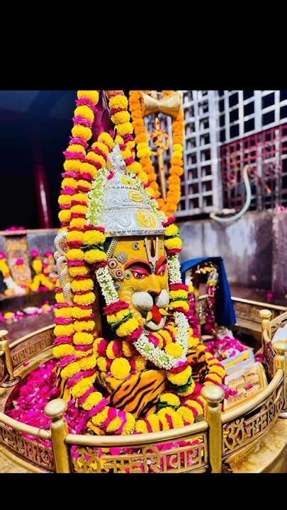 🕉🔱🌿sambhu Mere Sang🌿🔱🕉 Mahadev Sambhu Shiv Sankar Jyotirling