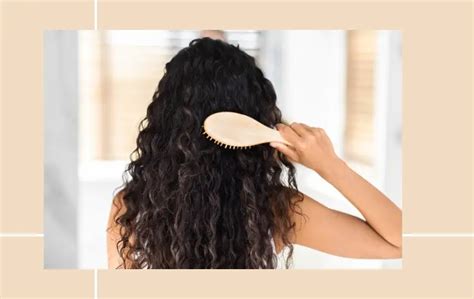Is It Bad To Brush Your Hair When Its Wet Straightener Lab