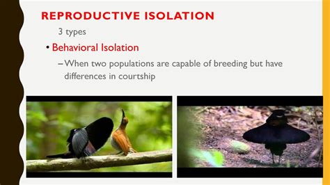 A Neat Transition From Genetics Ppt Download