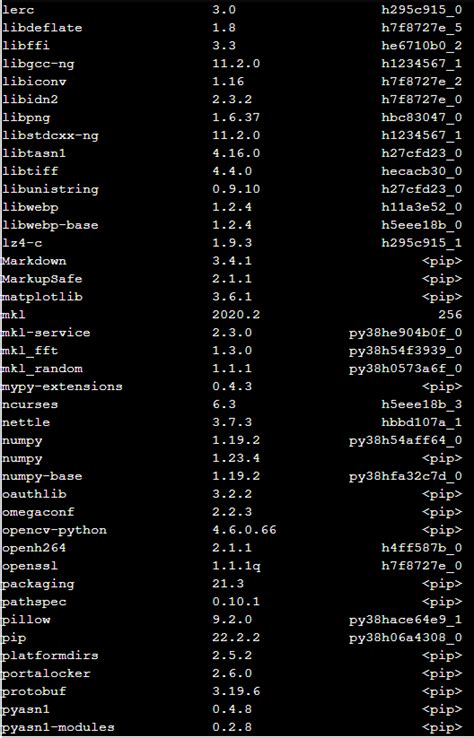 How To Use The Trained Vitdet Model For Inference And Visualize The