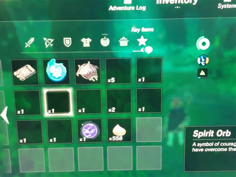 Does Anybody Know How To Fix This Rbotw