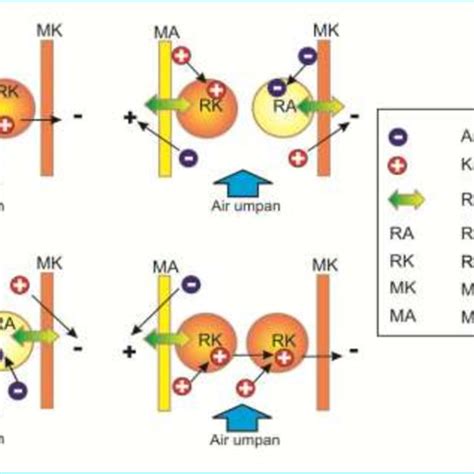 Phase Diagram Of Dmpc Dspc Mixed Vesicles Full Lines Mixture Of