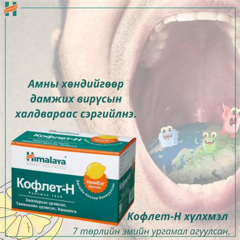 Ковид 19 ба эмийн ургамал “ЦАХИУР ТӨМӨР” ХХК