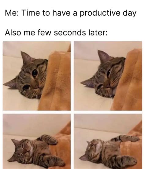 50 Productivity Memes Timemaster