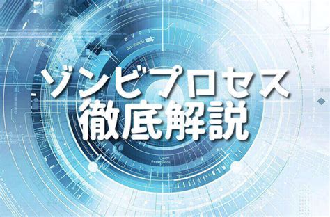 Python Japan