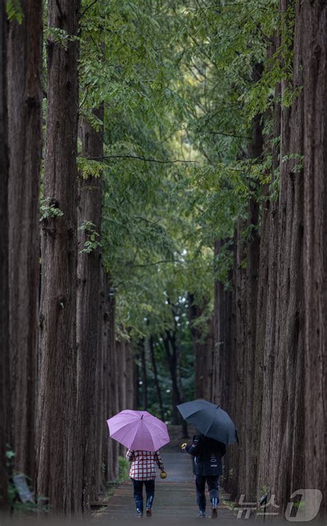 가을길을 걷다 뉴스1