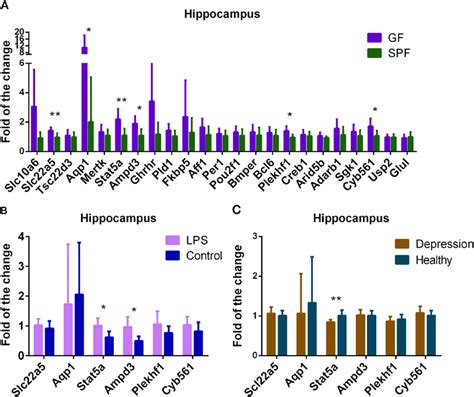 Real Time Pcr Validation Of The Expression Of Glucocorticoid Receptor
