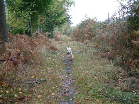 Foxy Servimg Com Free Image Hosting Service Foxy Servimg Com Free Image Hosting Service