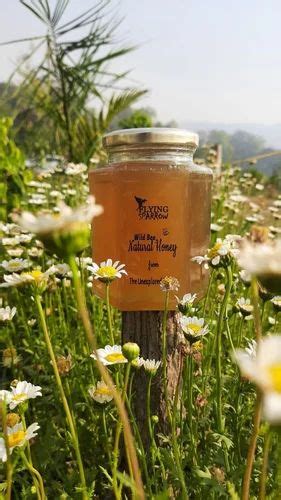 Metal Twist Transparent 250gm Honey Glass Jar At Rs 6 50 Piece In