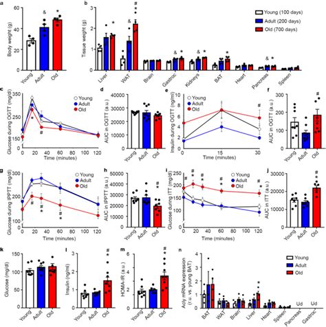 使用 Sb 204990 抑制 Acly 进行代谢重编程可改变葡萄糖调节并调节与衰老相关的分子机制communications Biology X Mol