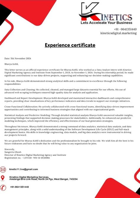 Dataanalytics Internshipexperience Kineticsdigitalmarketing Datadriven Careergrowth