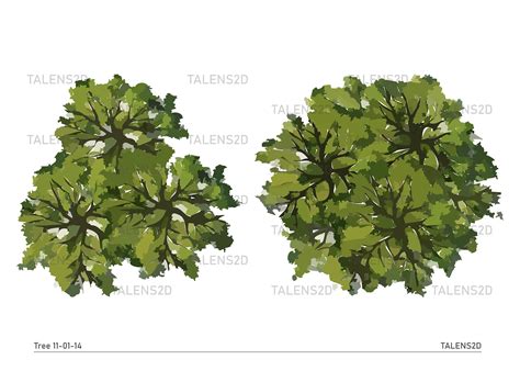 Tree Top View D Landscape Clipart In PNG Etsy