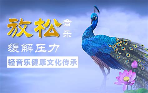 葫芦丝名曲《婚誓》 重温经典 百听不厌 旋律优美 情意绵绵 五音本草 五音本草 哔哩哔哩视频