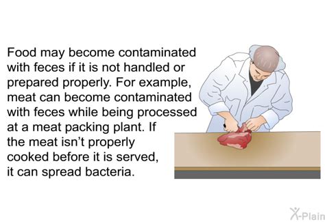 Patedu E Coli Infections