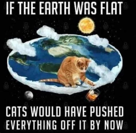 Catmemes Catmemesdaily Cat Kitten Instacat Catmemesarethebest Memecat