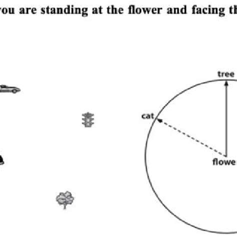 Spatial Orientation Test Download Scientific Diagram