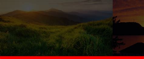 Javascript Owl Carousel2 Image Not Displaying Full Width When Using