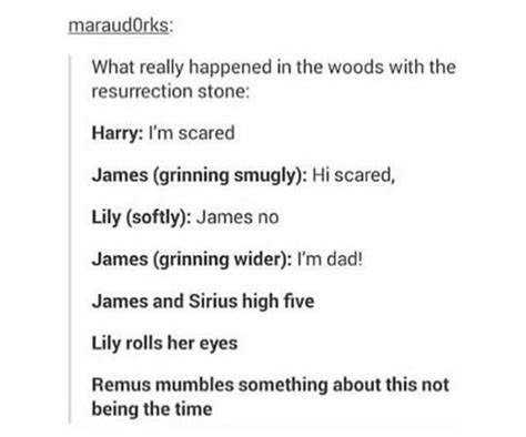 Pin By Anna On Harry Potter Gay Harry Potter Harry Potter Headcannons Harry Potter More