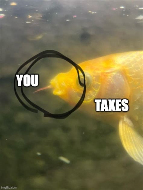 Taxes Imgflip