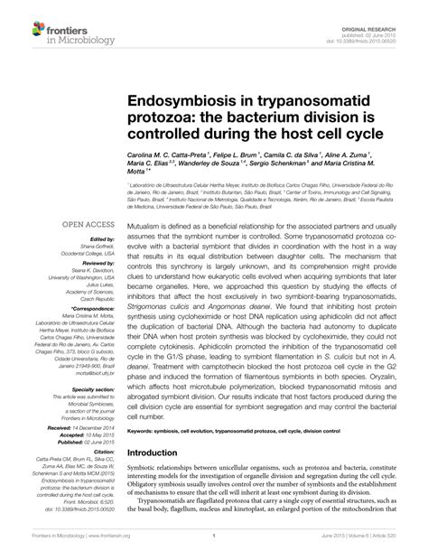 Pdf Endosymbiosis In Trypanosomatid Protozoa The Bacterium Division Is Controlled During The