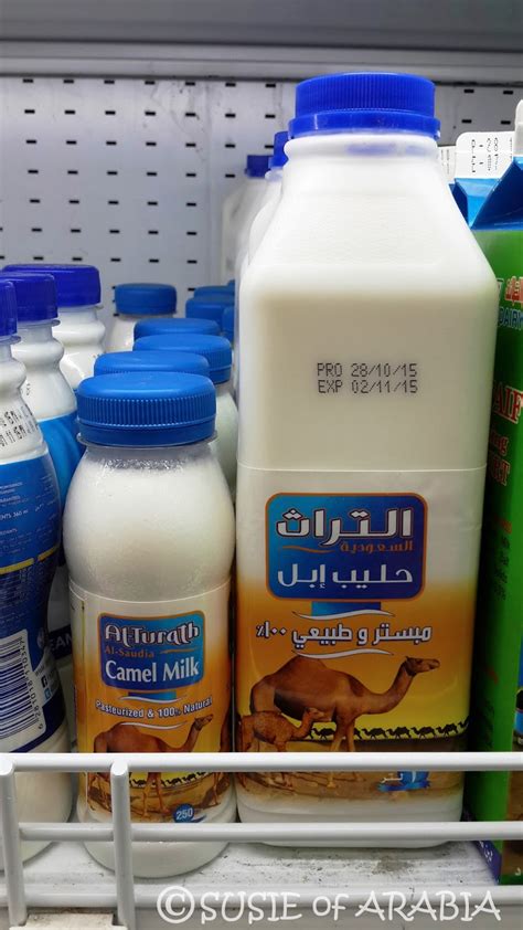 Camel Milk Asda Price What Is Camel Milk And Where Does It Come From