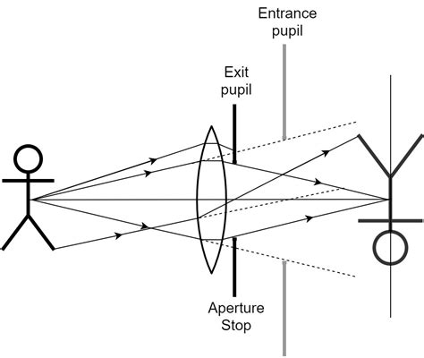 Optical Imaging By Adam Weisser