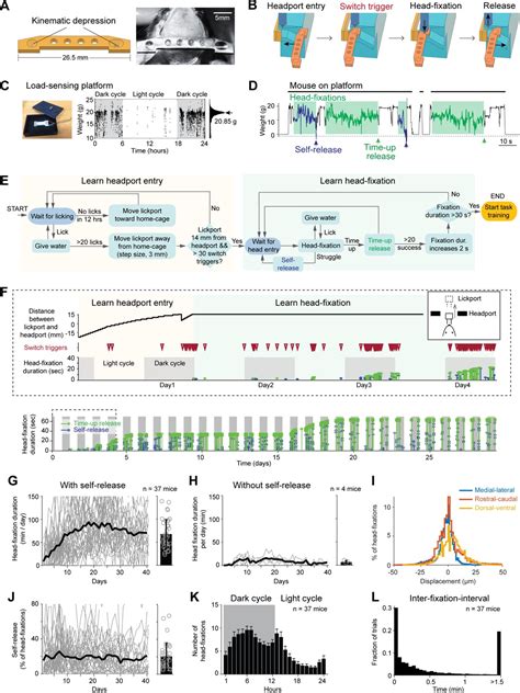 Figures And Data In Fully Autonomous Mouse Behavioral And Optogenetic