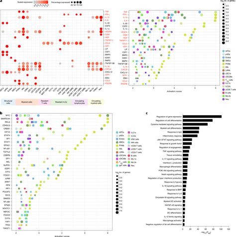 Analysis Of Putative Upstream Regulators Uncovers A Distinct Obese