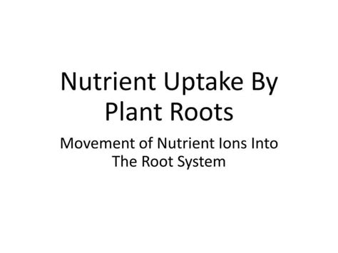 Nutrient Uptake By Plant Wps Office 1pptx