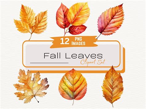 Fall Leaves Clipart Set Fall Foliage Autumn Leaf Clipart Cozy Fall