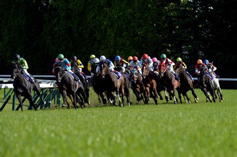 第151回 天皇賞（春） コース解説｜gⅠ特集｜競馬情報ならjra Van