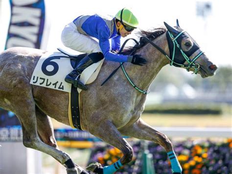 【2歳1勝クラス】東京5r リフレイムが大外からまとめて差し切る 競馬ニュース Netkeiba