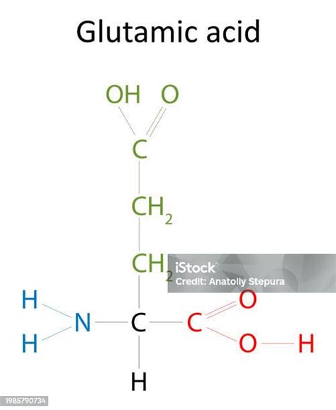 The Chemical Structure Of Glutamic Acid Stock Illustration Download