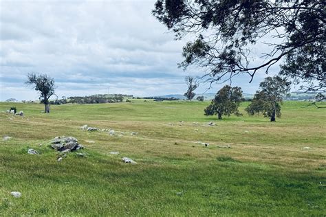 Lot 115 Mcgormans Road Tungkillo Sa 5236