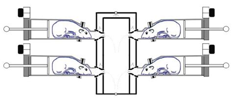 小动物暴露吸入染毒系统 毒理学病原微生物学等多学科研究的得力助手 微信文章 仪器谱