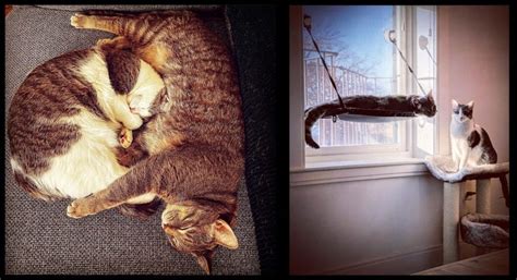 Meet Our Lab Harvard Universitys Schacter Memory Lab