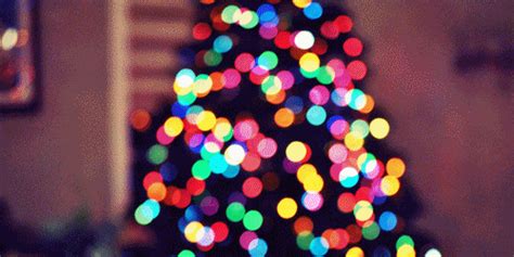 Christmas Lights Sparkle Animation  Abyss