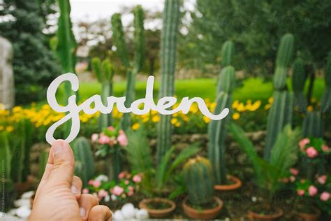 Papercut Letters In The Garden By Stocksy Contributor Cactus