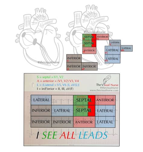 12 Lead Ecg Map Out On The Heart Hope This Helps Khalid Alamri