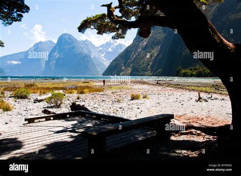 Milford Sound Mitre Peek Bowen Falls Glaciated Valleys Of Darran