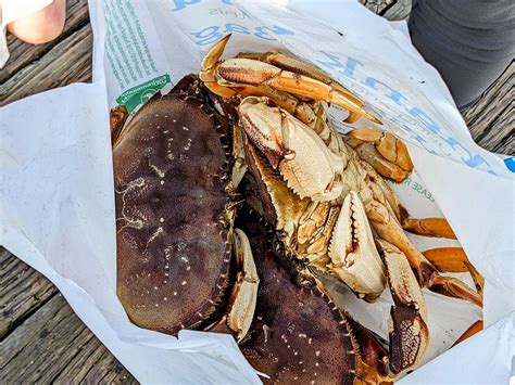 The Best Seafood In The Bay Area Is On Airmart