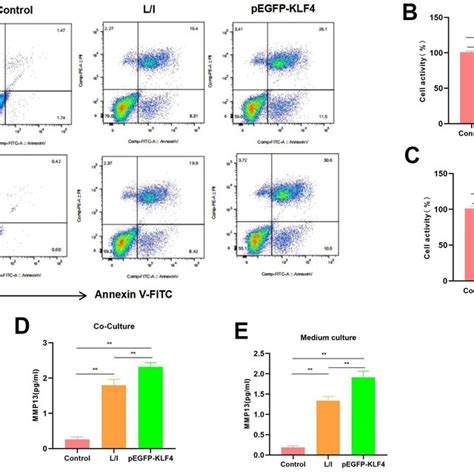 Effect Of M1 Macrophages On Chondrocyte Injury A Flow Cytometry