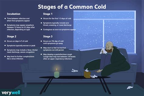 Rhinovirus Life Cycle