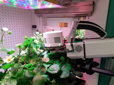 Light Science Technologies Strengthens Its Uon Partnership