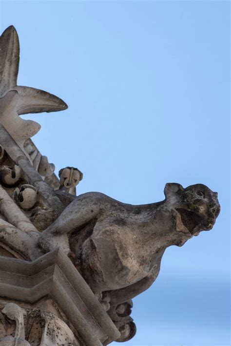 Gargoyle Spiritual Meaning Are They Angels
